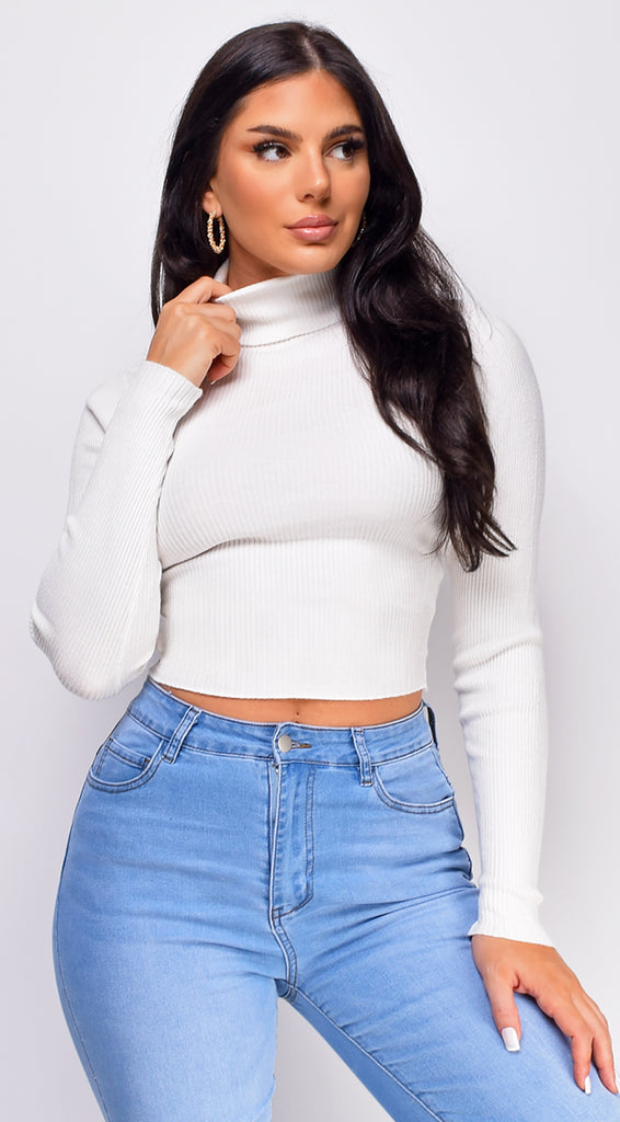 Delaney White Ribbed Turtle Neck Crop Top – Emprada